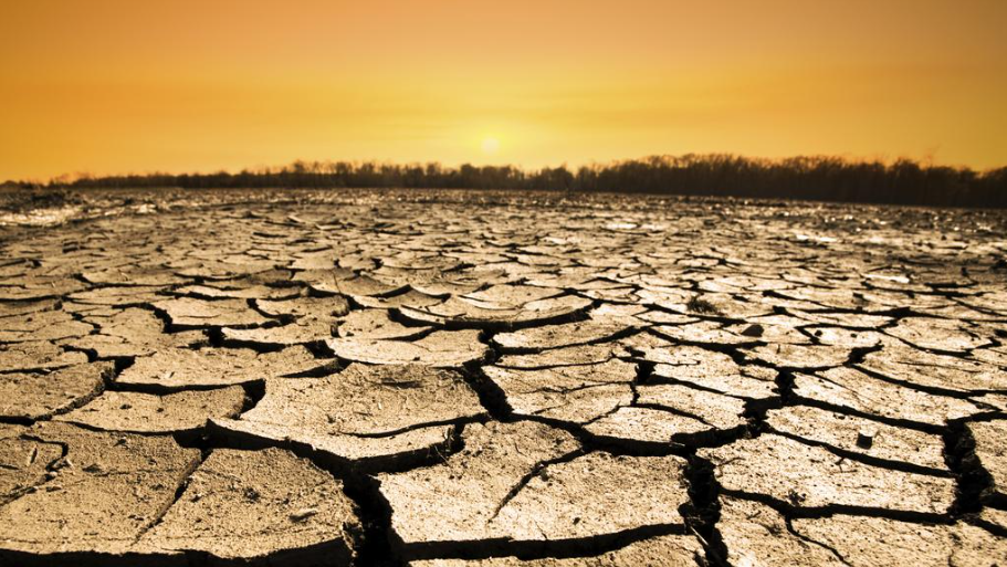 Dry Weather In Country’s Most Parts: PMD - ThePenPK