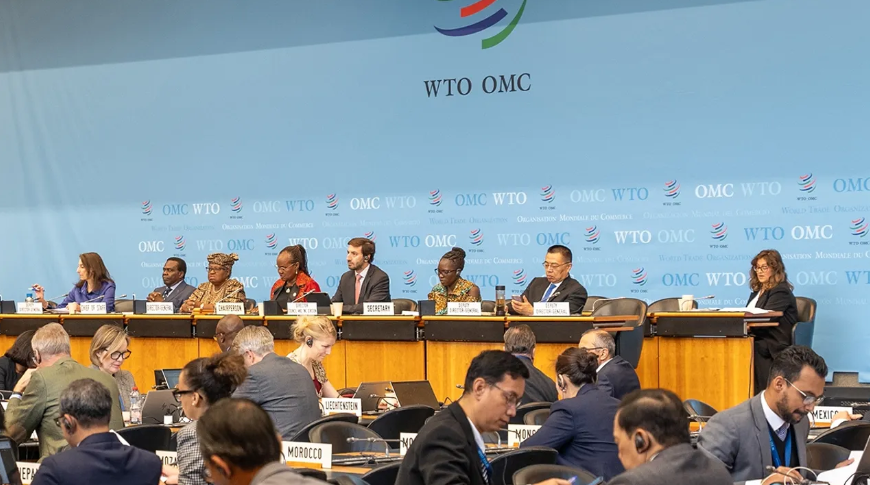 UAE Unveils WTO 13th Ministerial Conference Website - ThePenPK