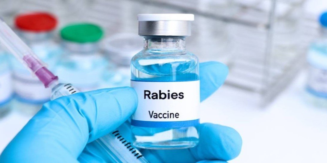 Dow University Develops Anti-Rabies Vaccine 'Dow Rab' - ThePenPK