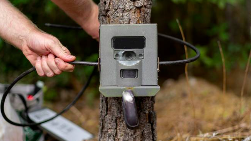Wildlife Monitoring Tech Misused to Harass Women in India - ThePenPK